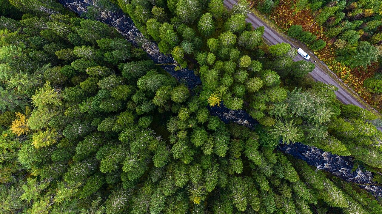 Nowe wysokości opłat w zależności od emisji CO₂ | Klienci biznesowi